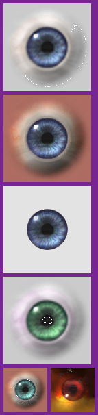 Pc Computer Shark Tale Eyes The Textures Resource